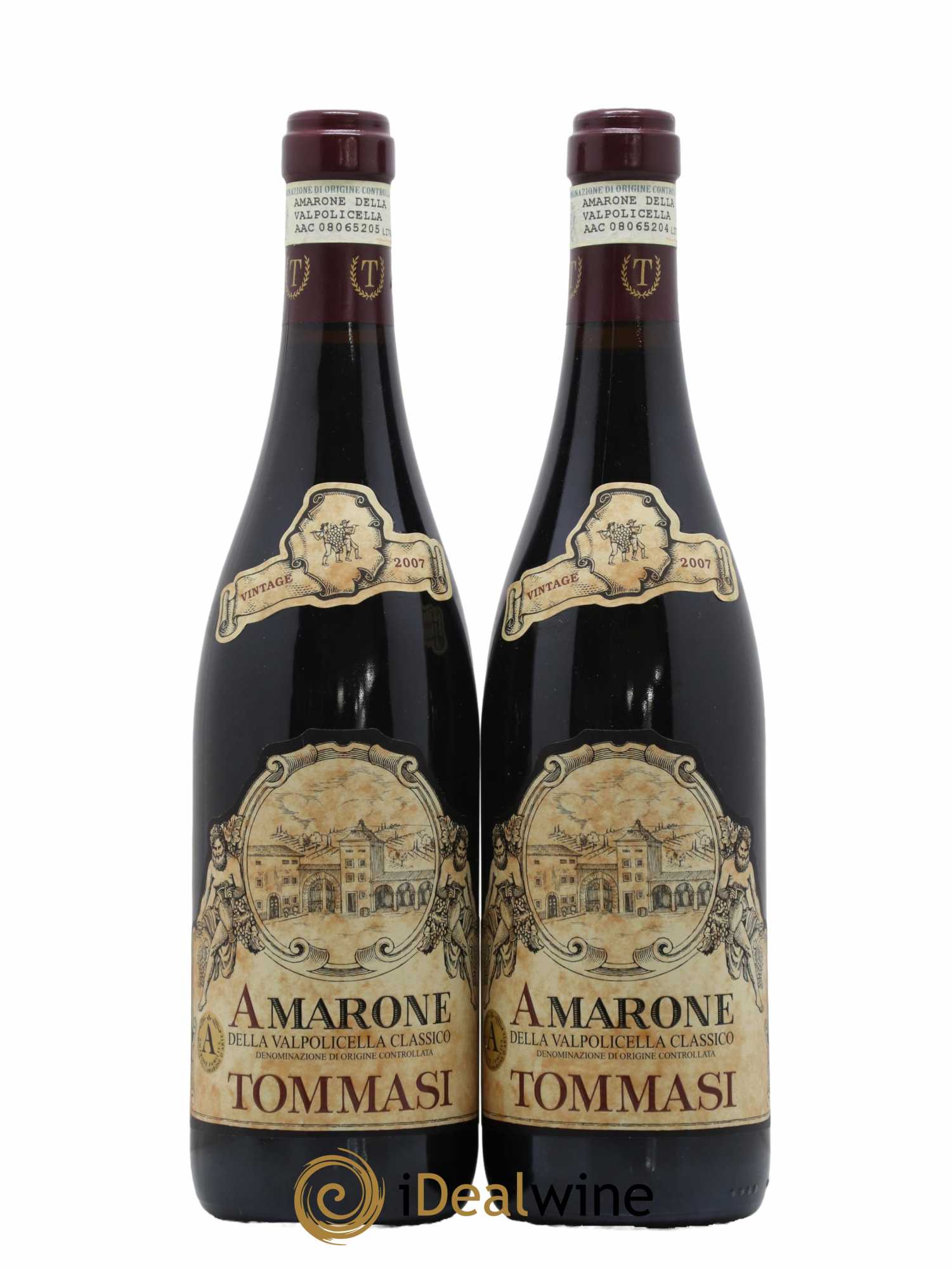 Acheter Amarone della Valpolicella DOC Classico Tommasi 2007 (lot: 156)
