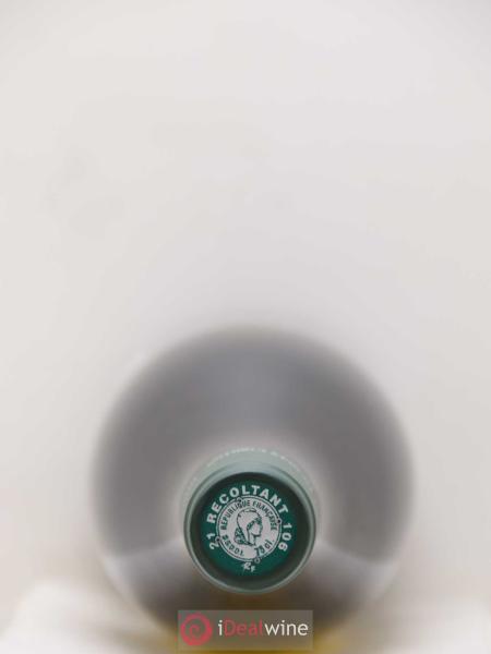 Buy Bienvenues-Bâtard-Montrachet Grand Cru Jacques Carillon (Domaine ...